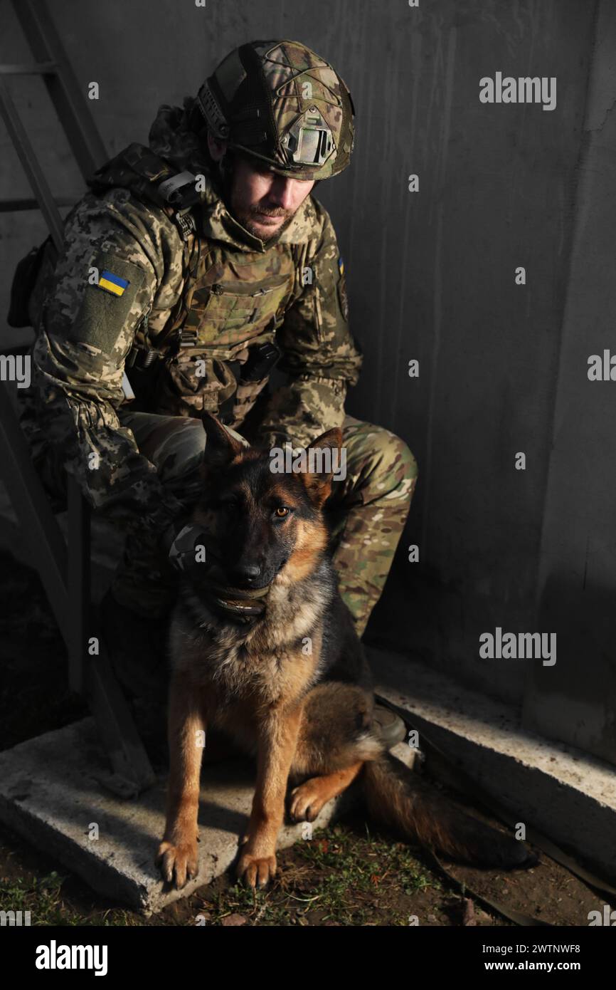 Ukrainian soldier with German shepherd dog sitting outdoors Stock Photo ...