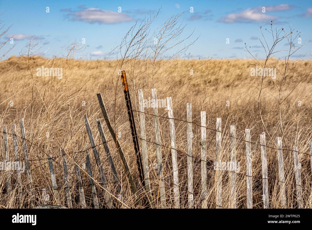 The Salisbury Town Beach, Massachusetts Stock Photo - Alamy