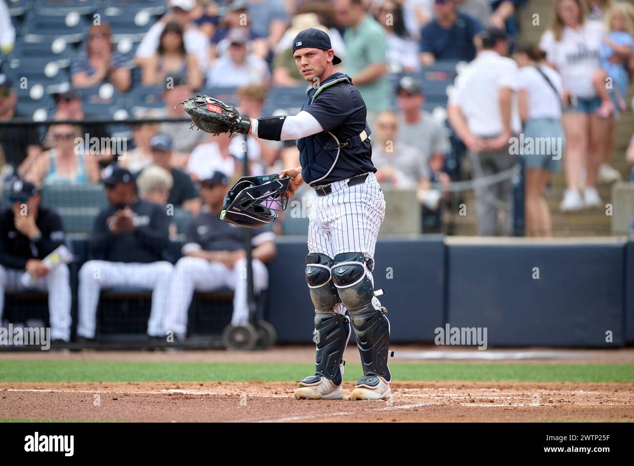 New York Yankees catcher Ben Rortvedt (38) during an MLB Spring ...