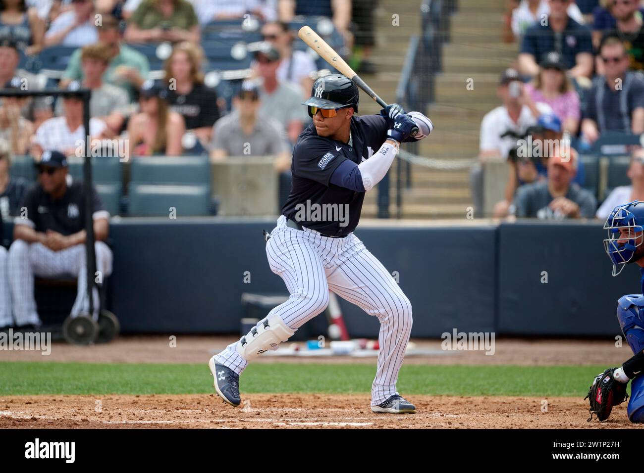 New York Yankees Juan Soto (22) at bat during an MLB Spring Training game against the Toronto ...