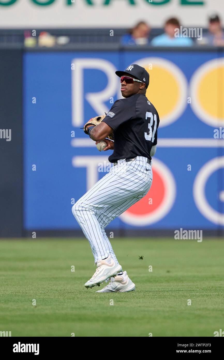 New York Yankees outfielder Greg Allen (31) throws the ball in during ...