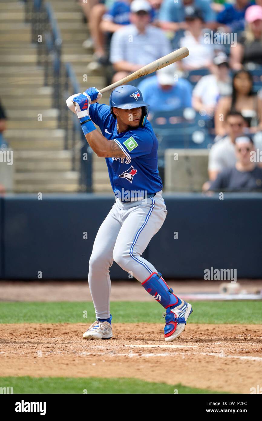 Toronto Blue Jays Santiago Espinal (5) at bat during an MLB Spring ...