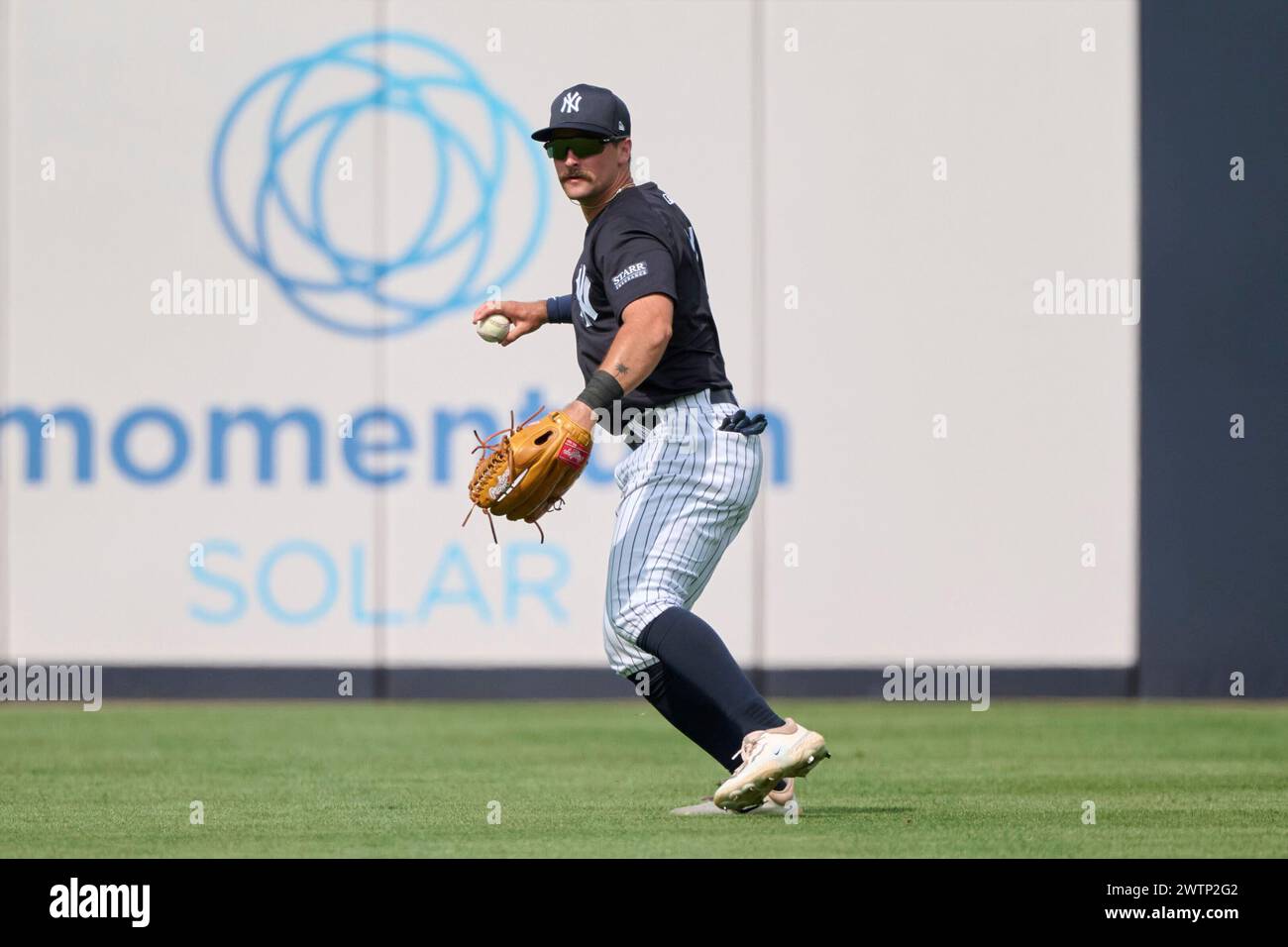 New York Yankees outfielder Aaron Palensky (14) throws the ball in ...