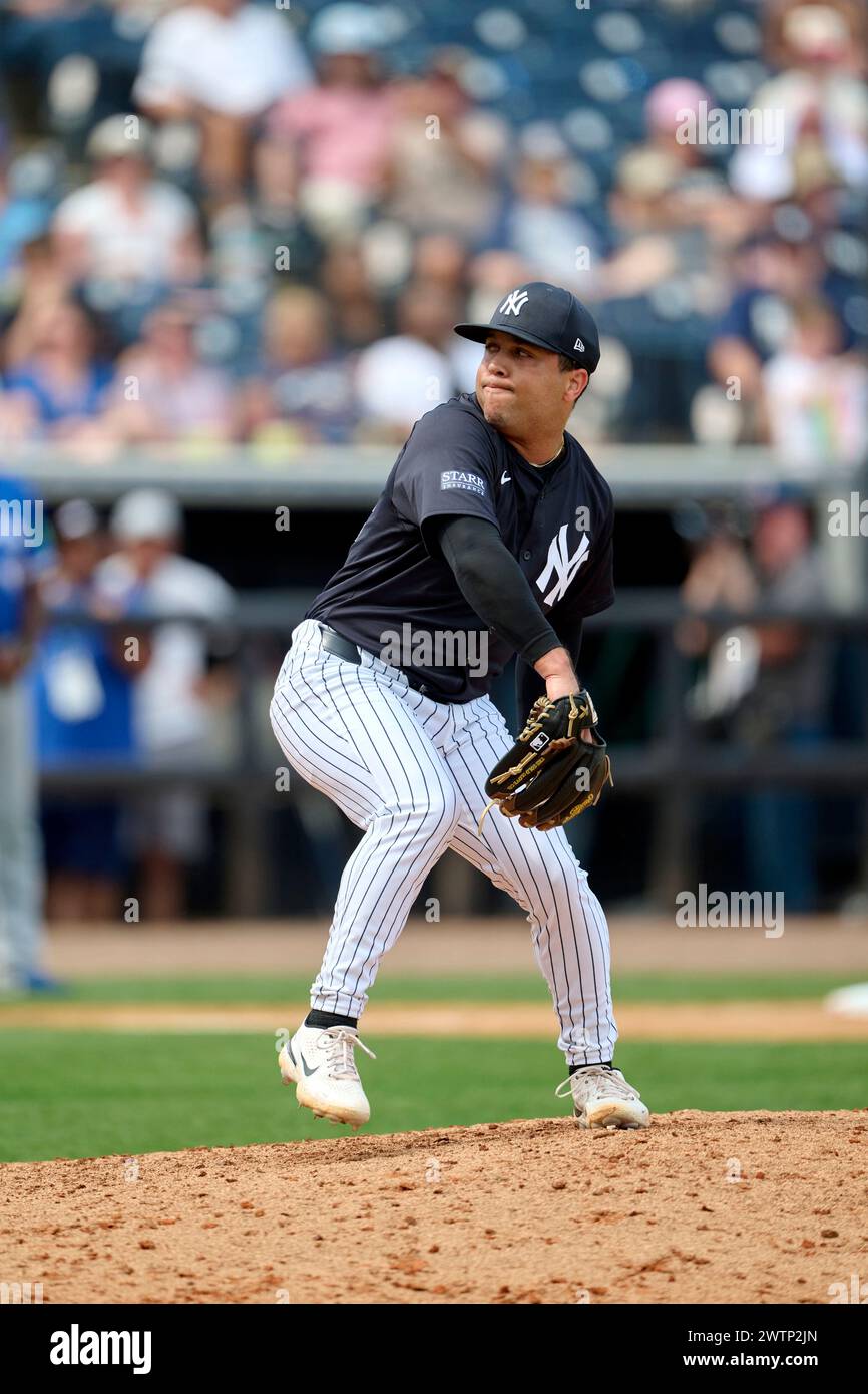 New York Yankees relief pitcher Clayton Andrews (74) during an MLB ...