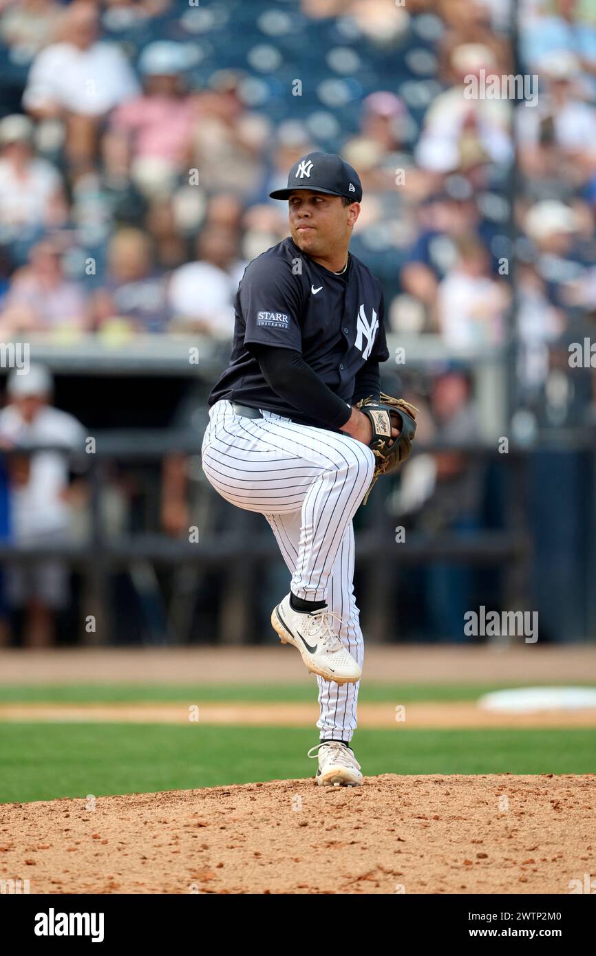 New York Yankees relief pitcher Clayton Andrews (74) during an MLB ...