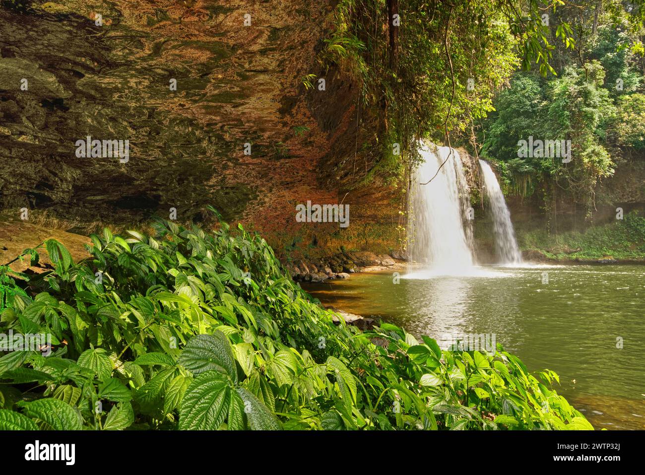 Champee hi-res stock photography and images - Alamy