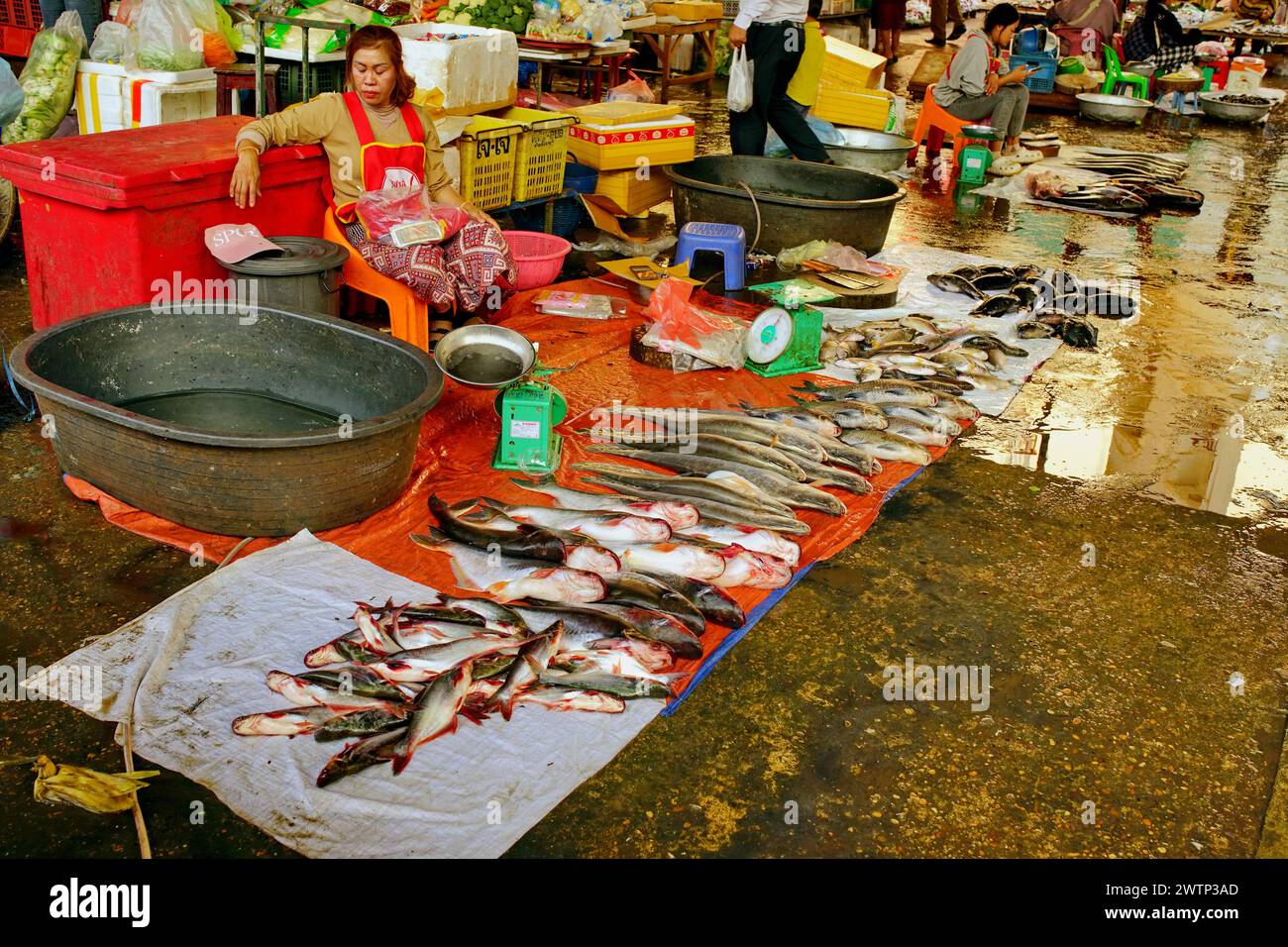 Fish stalls at Dao Heuang Market, wet market in Pakse Laos Stock Photo ...