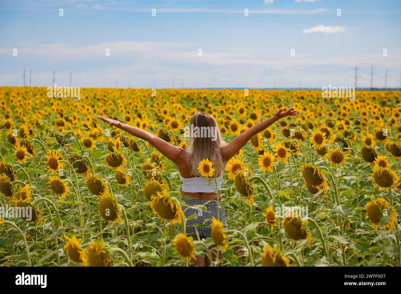 Gorgeous bright field under hi-res stock photography and images - Alamy