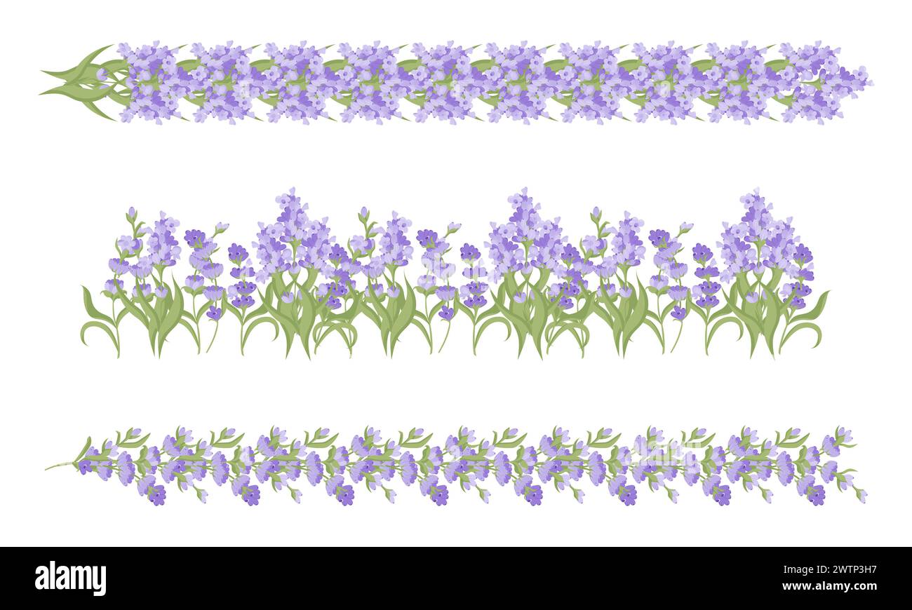 Set of decorative borders of lavender flowers for your design. Vector ...