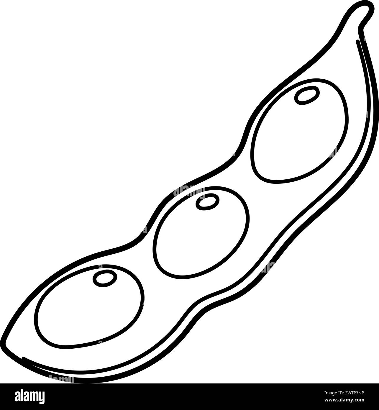 Broad beans.Vector illustration that is easy to edit Stock Vector Image ...
