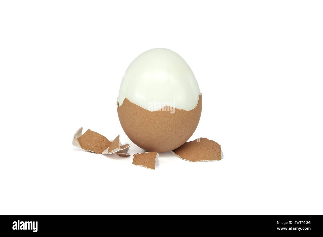 Egg in the process of being peeled, around it lay scattered pieces of ...