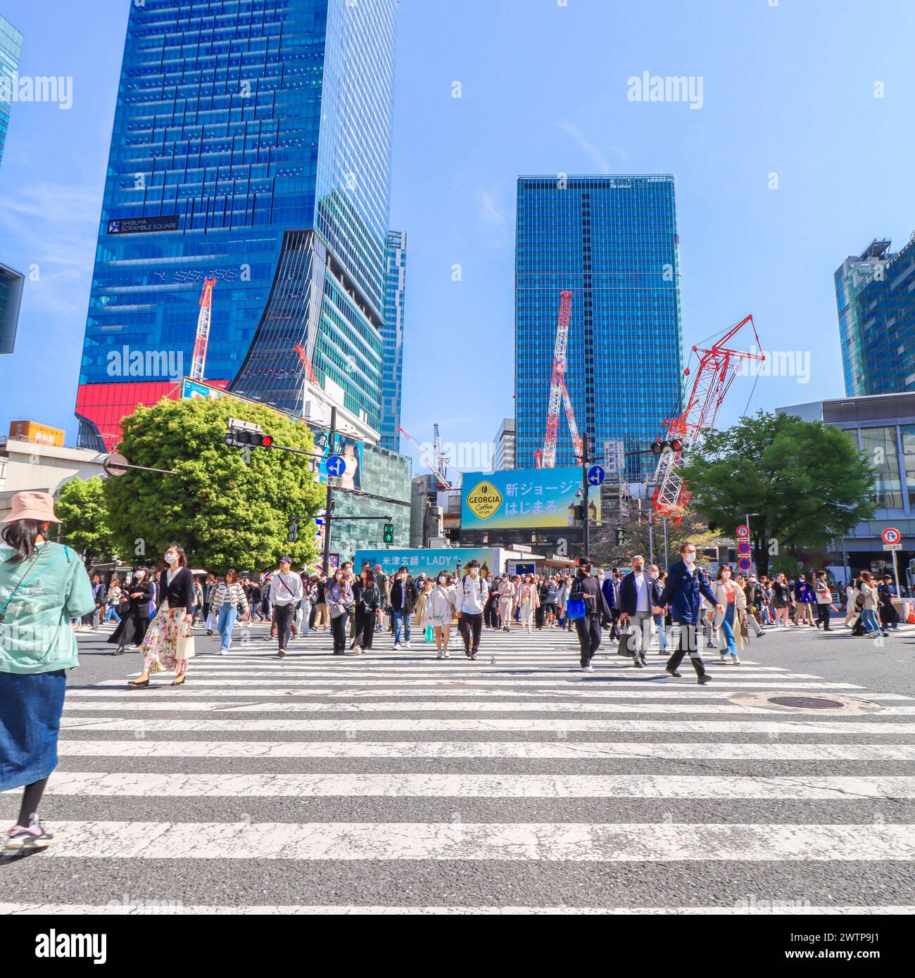 Street photography Shibuya crossing, Tokyo, Japan Stock Photo - Alamy