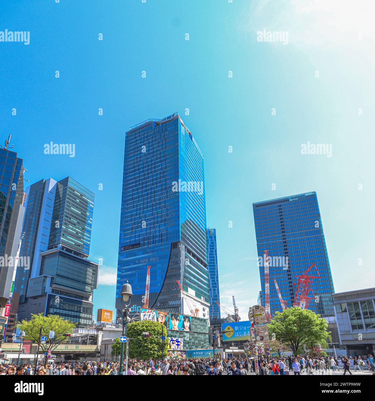 Shibuya crossing night summer hi-res stock photography and images - Alamy