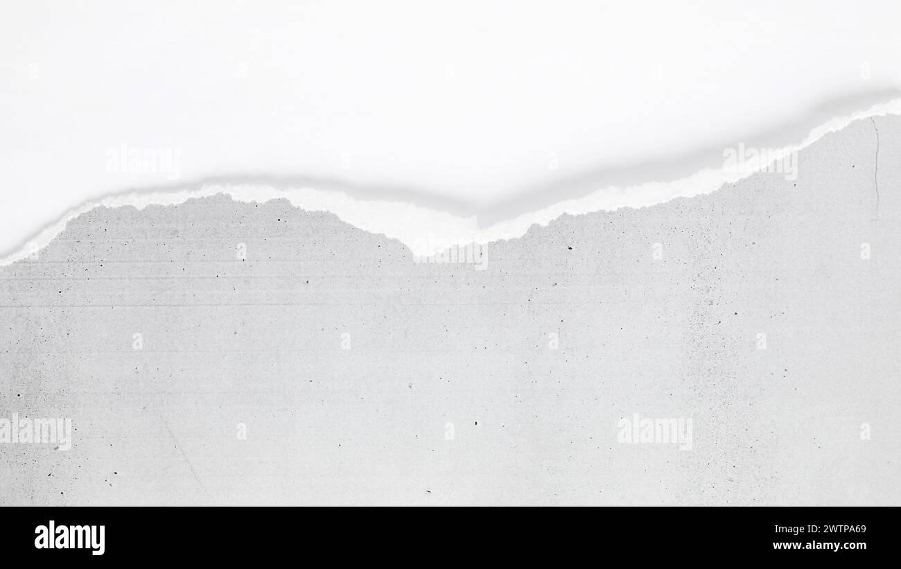 Close-Up Of A Ripped Edge Of Copier Paper Against A White Background ...