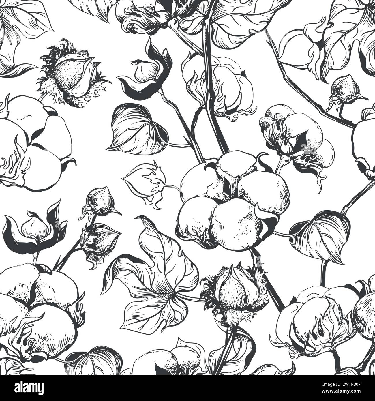 Vector, seamless, black and white pattern of cotton flowers. Botanical ...