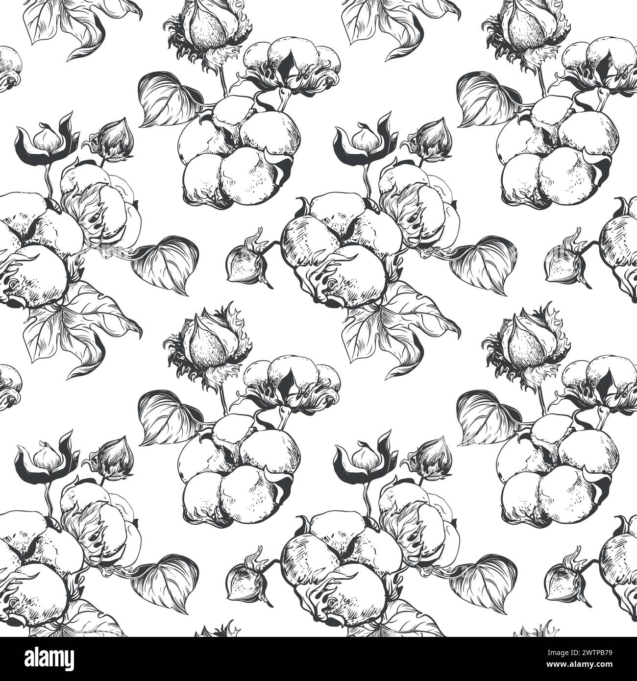 Vector, seamless, black and white pattern of cotton flowers. Botanical ...