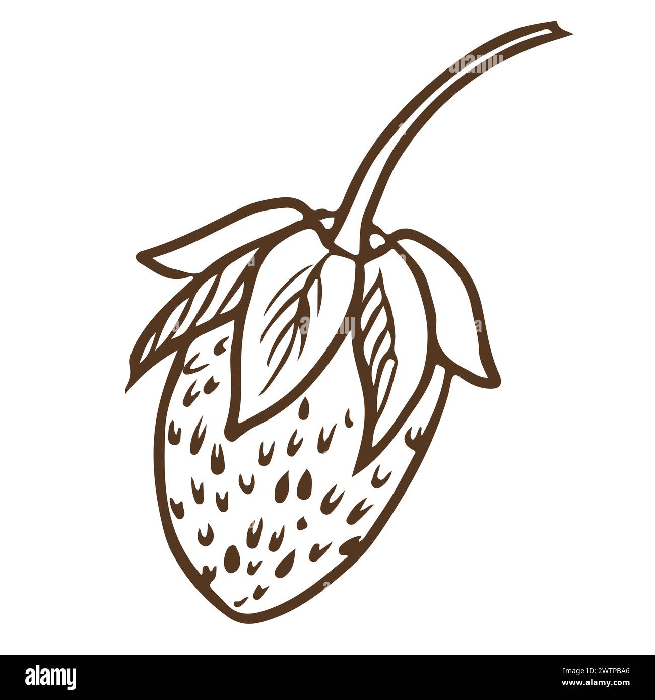 Wild strawberries summer harvest Stock Vector Images - Alamy