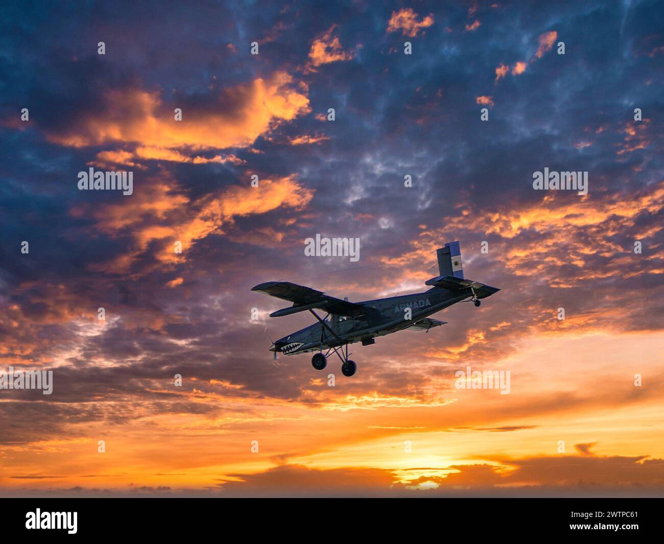 Argentine Navy plane in flight at sunset at the Punta Indio Naval Air ...