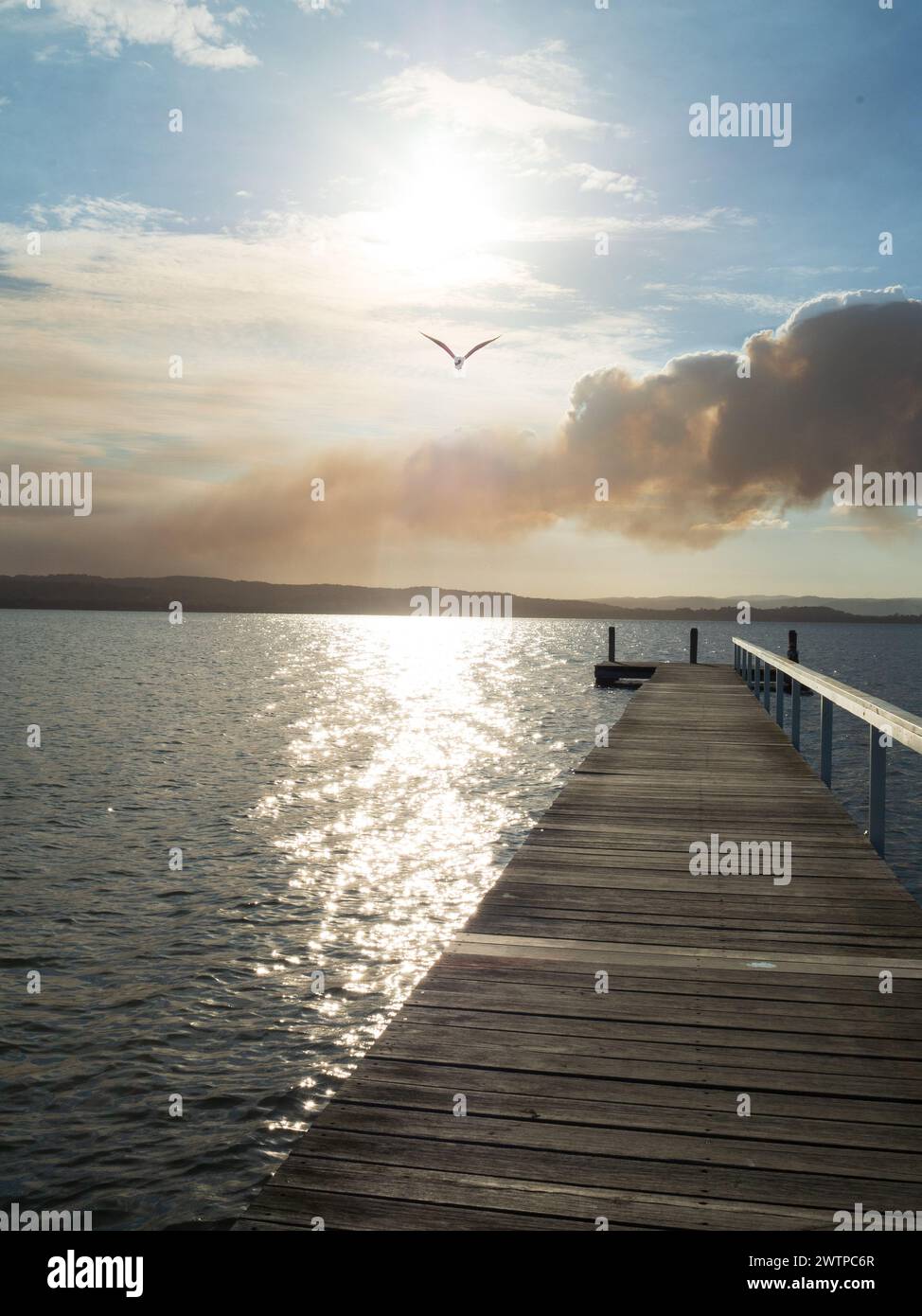 Smoke from a distant fire as a bird is flying across the water from ...