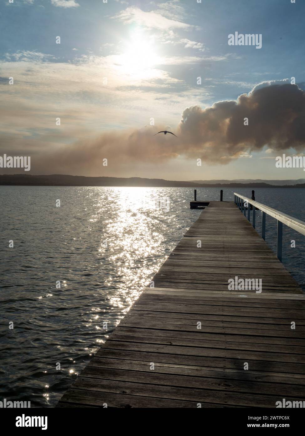 Smoke from a distant fire as a bird is flying across the water from ...