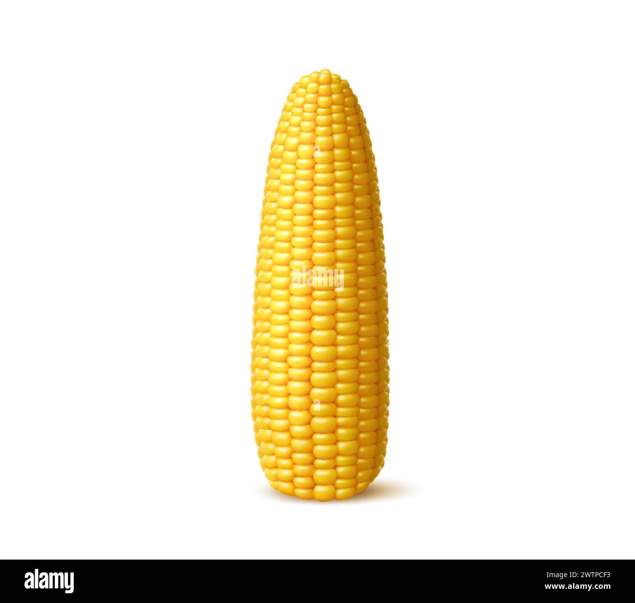 Realistic ripe sweet corn cob. Isolated 3d vector yellow maize corncob ...