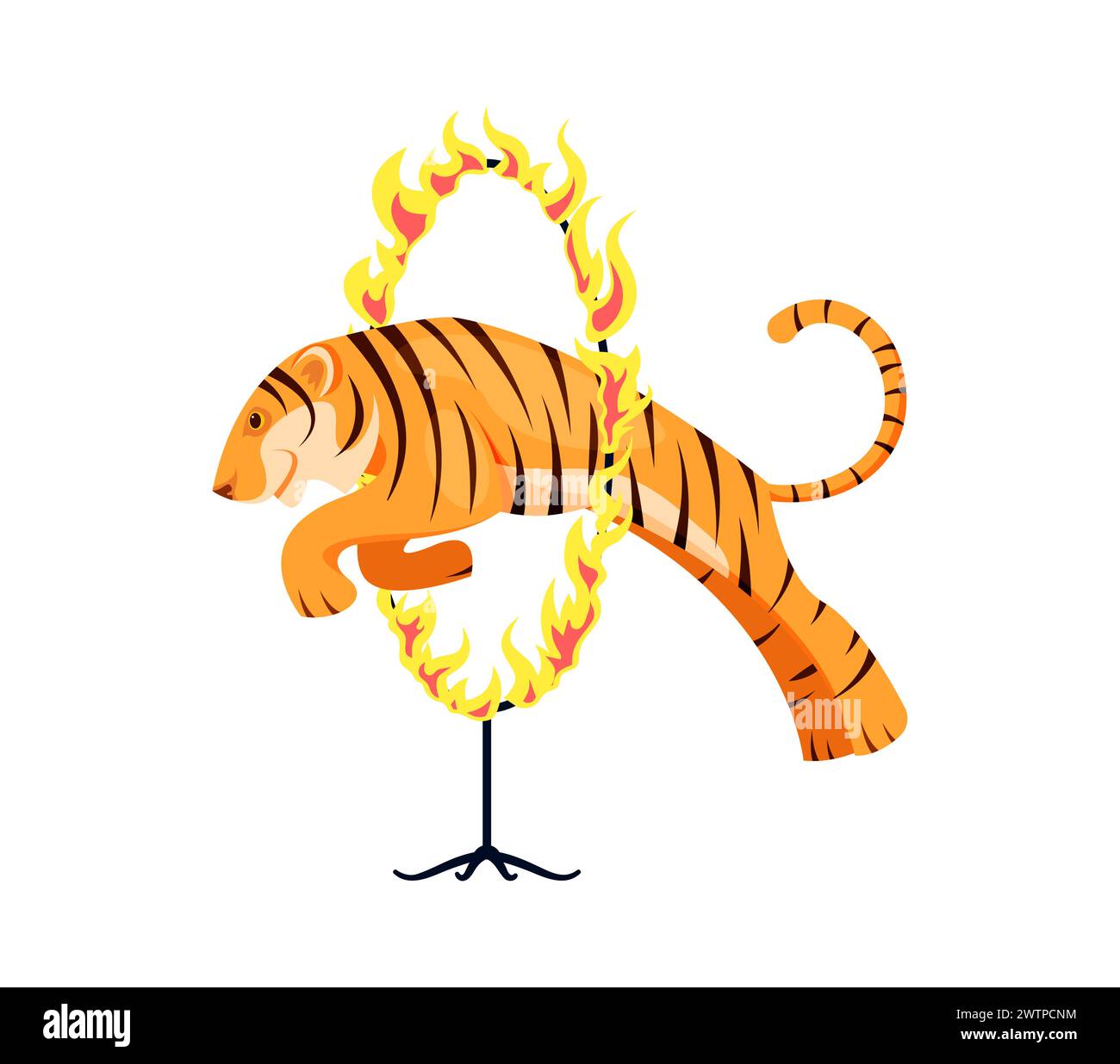 Cat jumping through hoop Stock Vector Images - Alamy