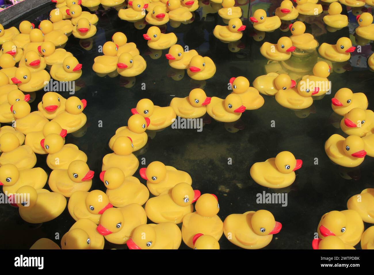 Yellow Rubber Ducky's floating in water shot closeup Stock Photo - Alamy
