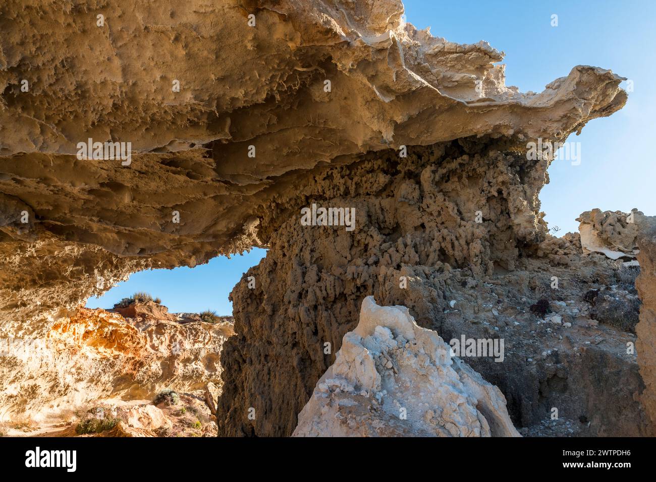 Cape Northumberland Coast and Rock Formations, South Australia's ...