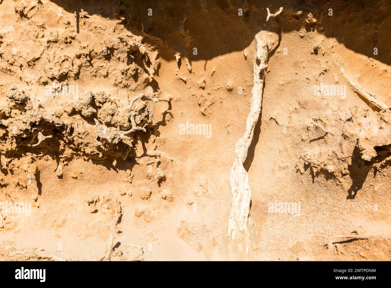 Cape Northumberland Coast and Rock Formations, South Australia's ...