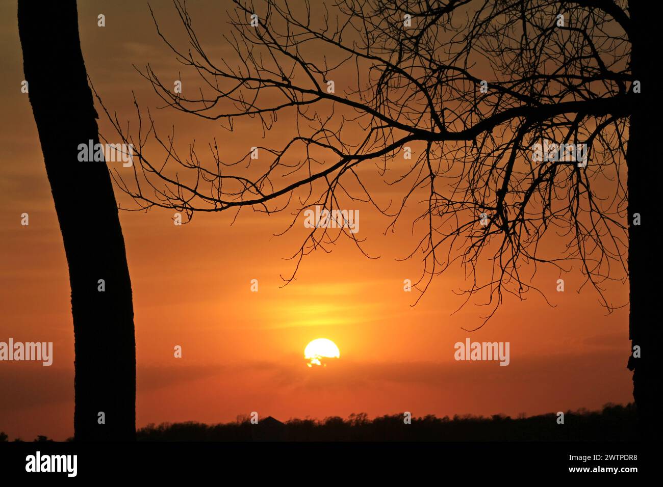 Kansas Sunset with a colorful sky and tree silhouette Stock Photo - Alamy