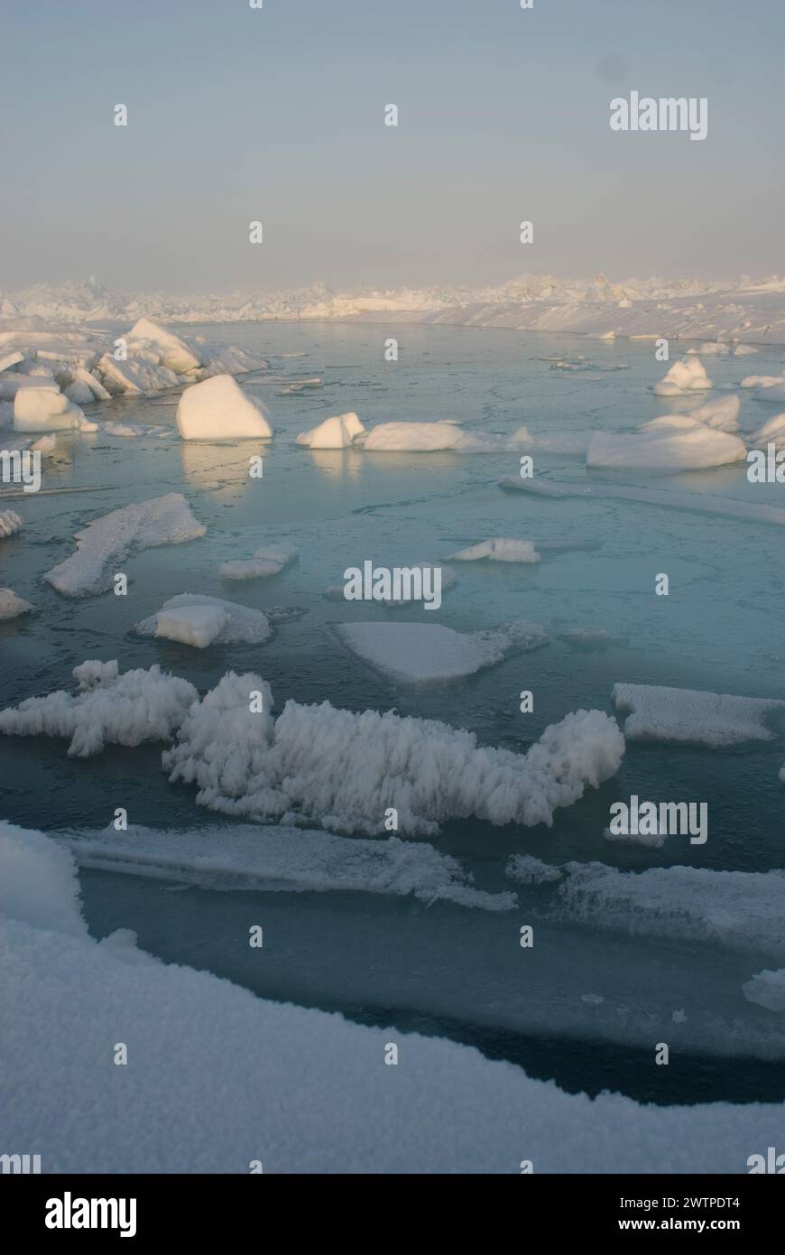 Seascape of rough pack ice over the Chukchi sea in springtime, off ...