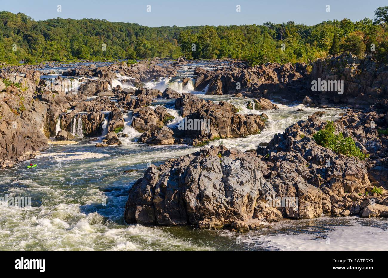 Potomac river wildlife hi-res stock photography and images - Alamy