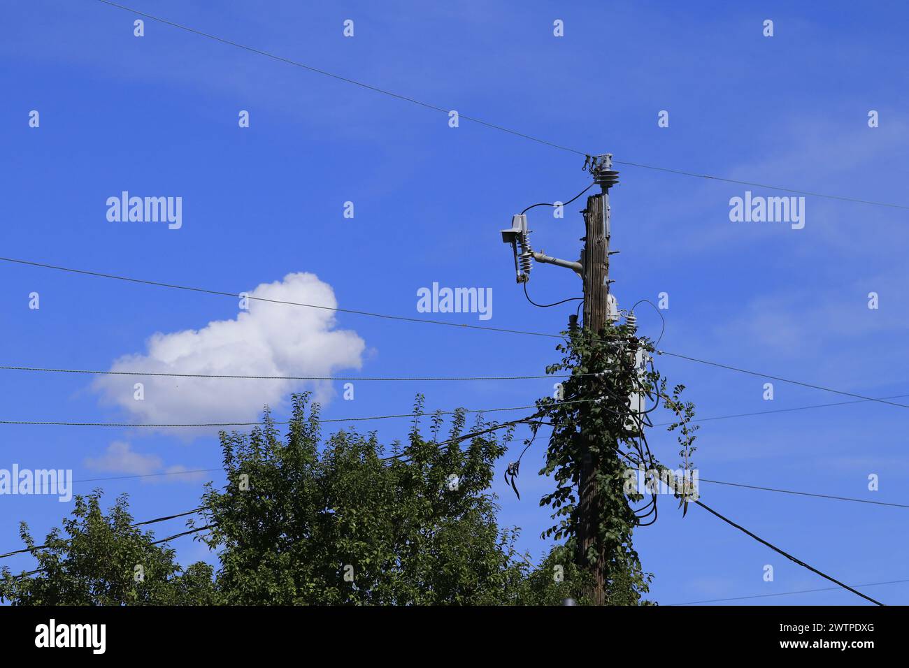 Powerline pole hi-res stock photography and images - Alamy