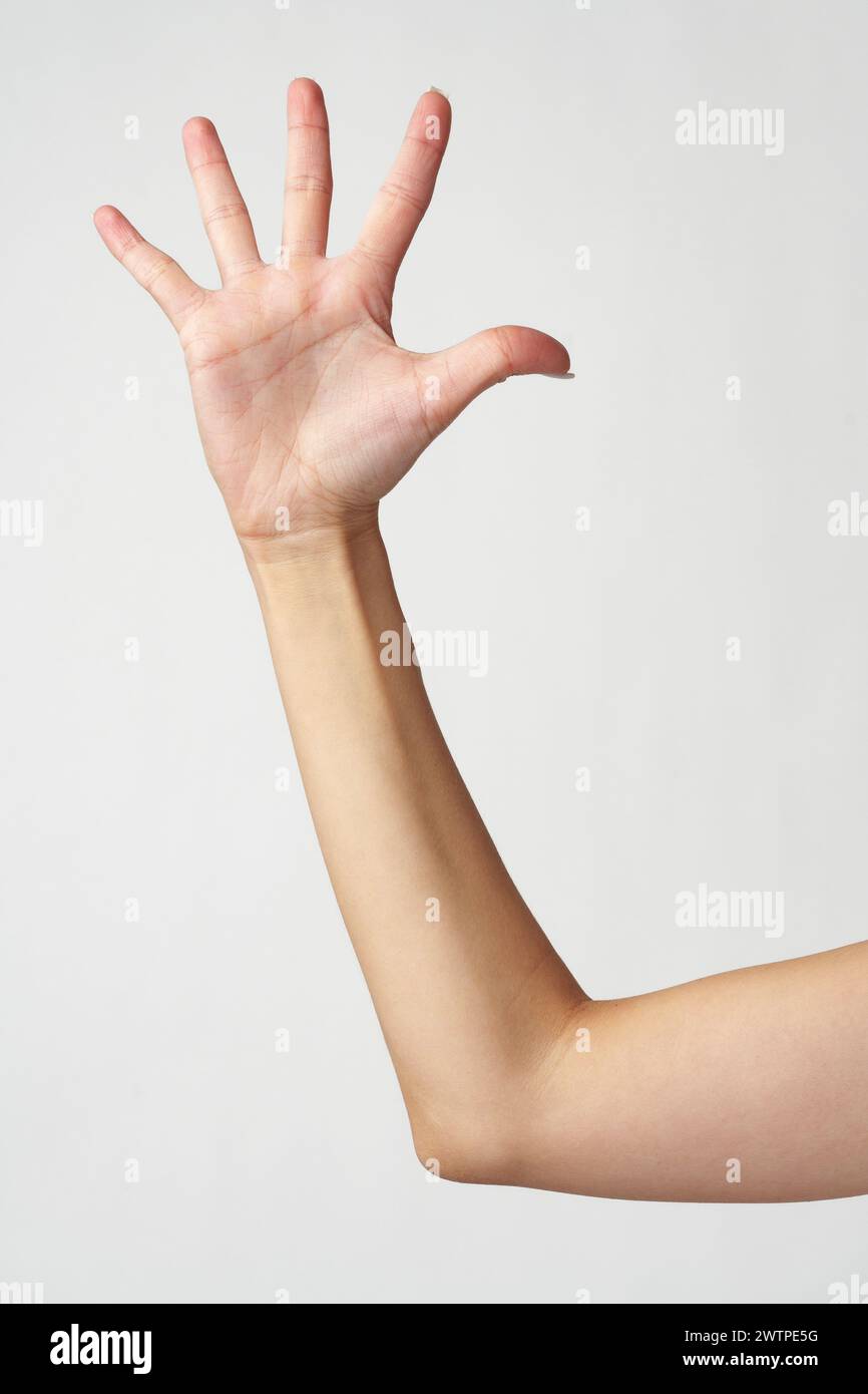 Human hand showing the five fingers isolated on a white background ...