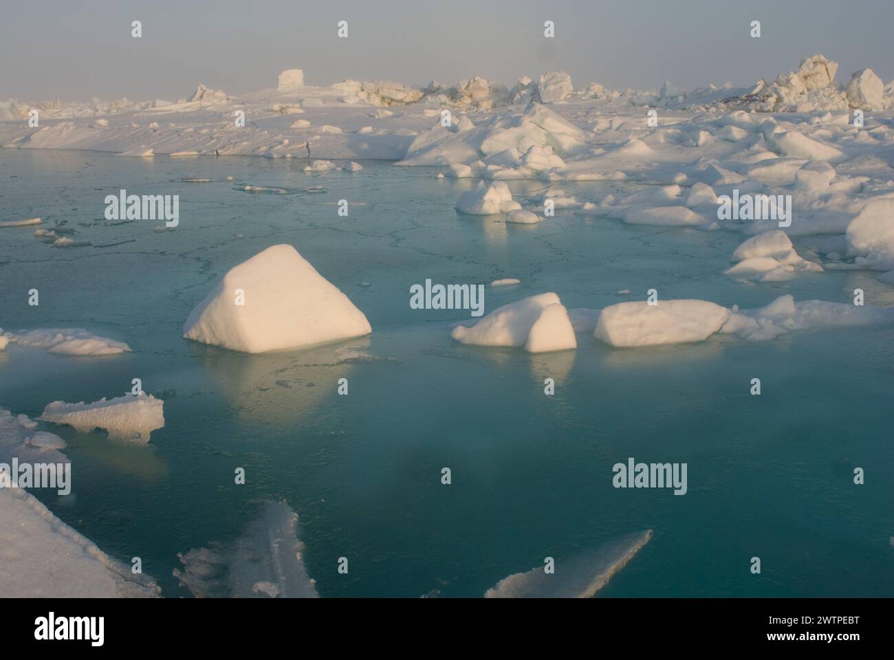 Seascape of rough pack ice over the Chukchi sea in springtime, off ...