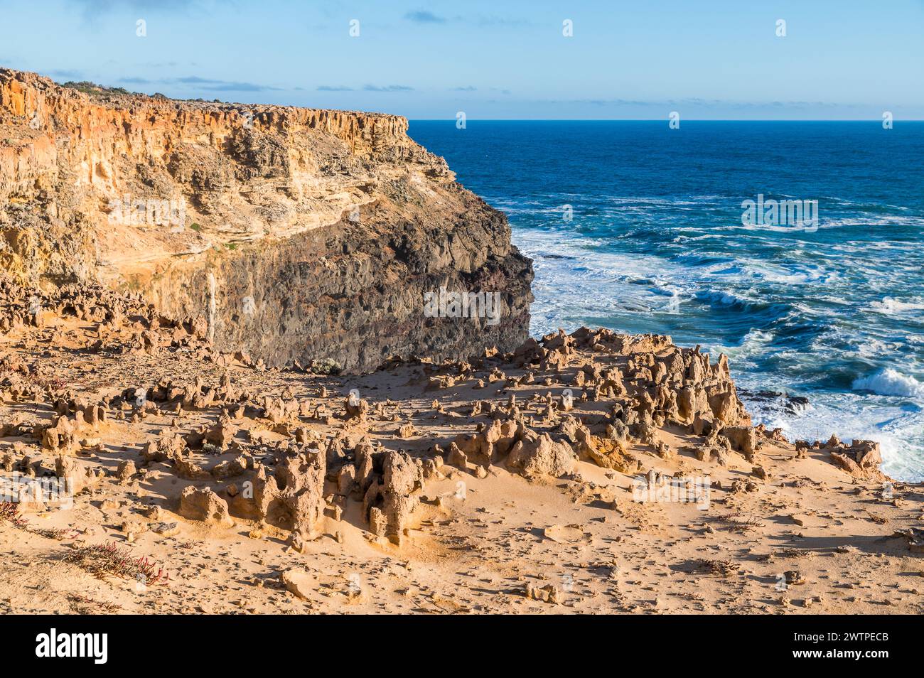 Petrified Forest at Cape Bridgewater, Rock Formation West of Portland ...