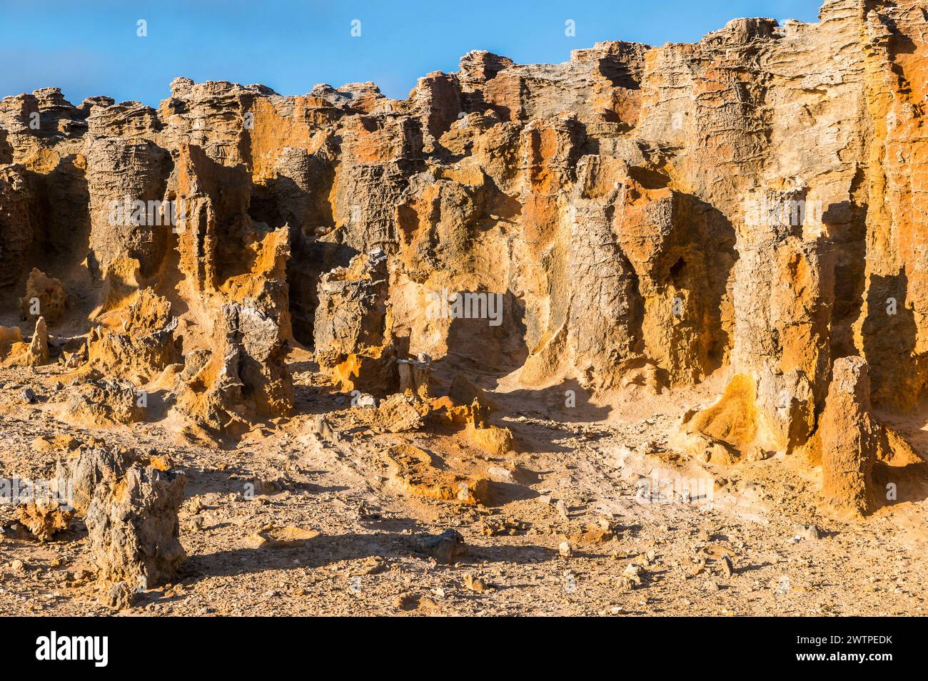 Petrified Forest at Cape Bridgewater, Rock Formation West of Portland ...