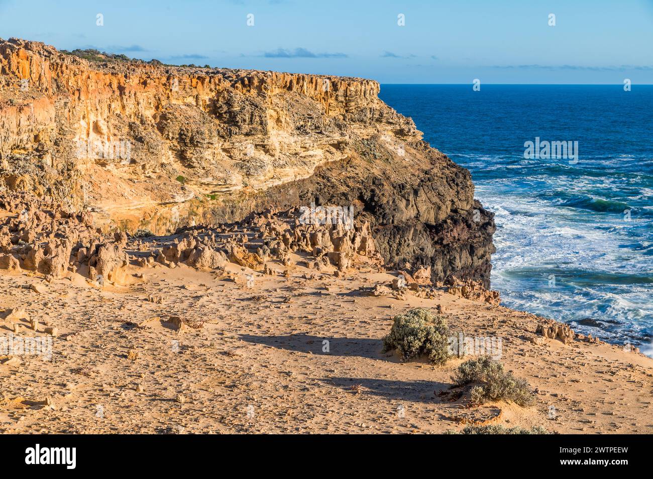 Petrified Forest at Cape Bridgewater, Rock Formation West of Portland ...