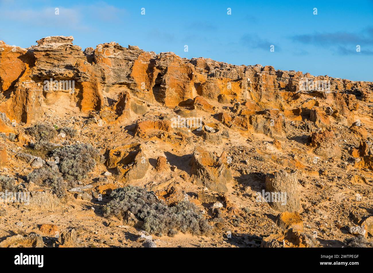 Petrified Forest at Cape Bridgewater, Rock Formation West of Portland ...