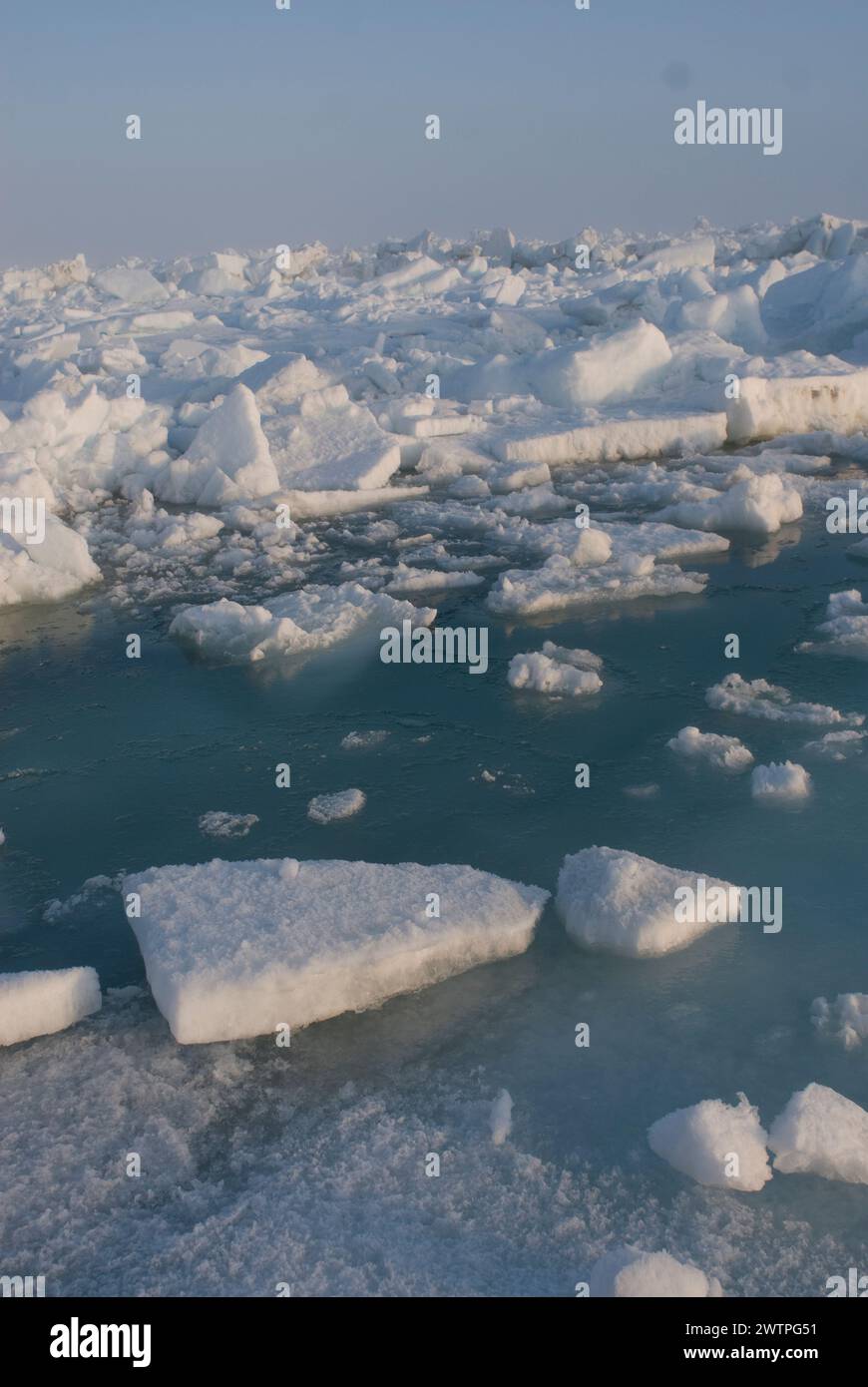 Seascape of rough pack ice over the Chukchi sea in springtime, off ...