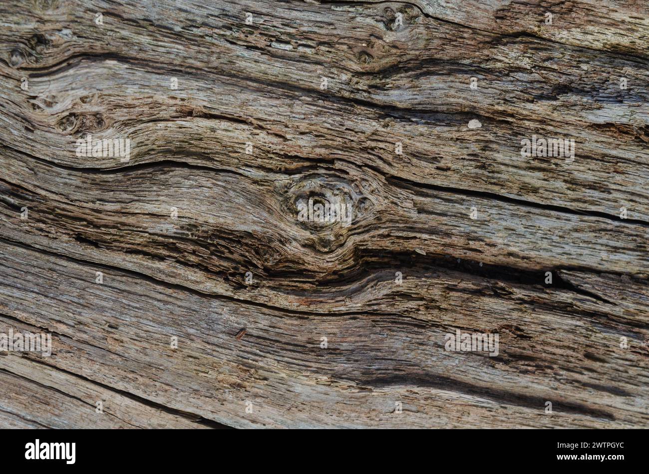 Drift wood grain hi-res stock photography and images - Alamy