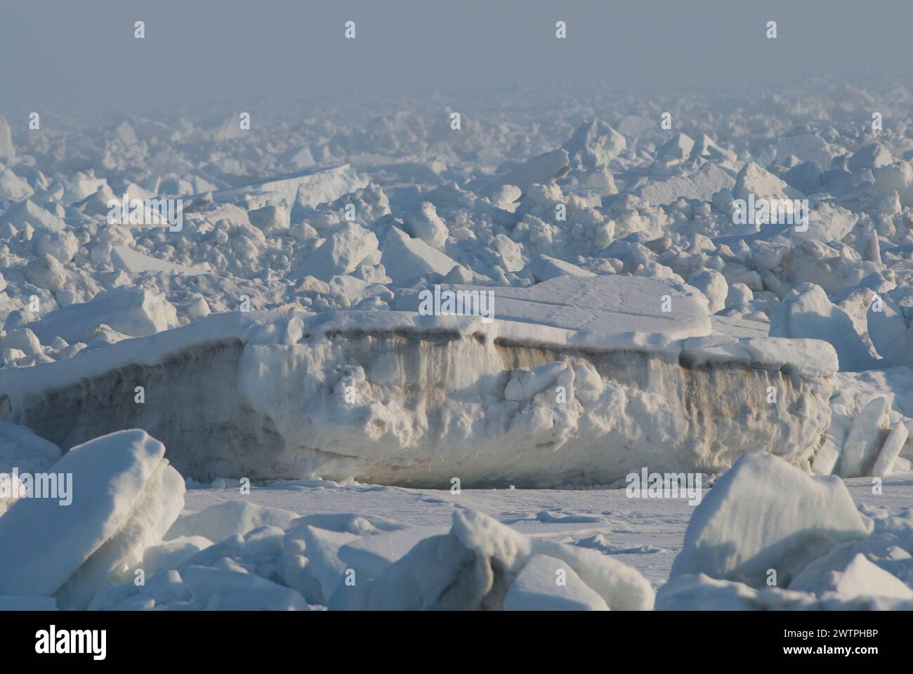 Seascape of rough pack ice over the Chukchi sea in springtime, off ...