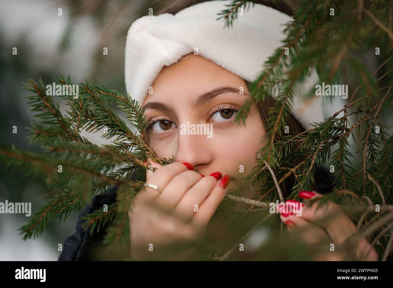 Winter portrait of a girl looking through the branches of a spruce Stock Photo - Alamy