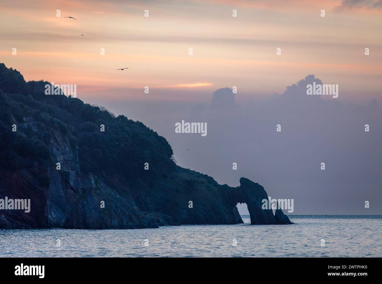 London Bridge sea stack on the Torquay coast south Devon Stock Photo ...