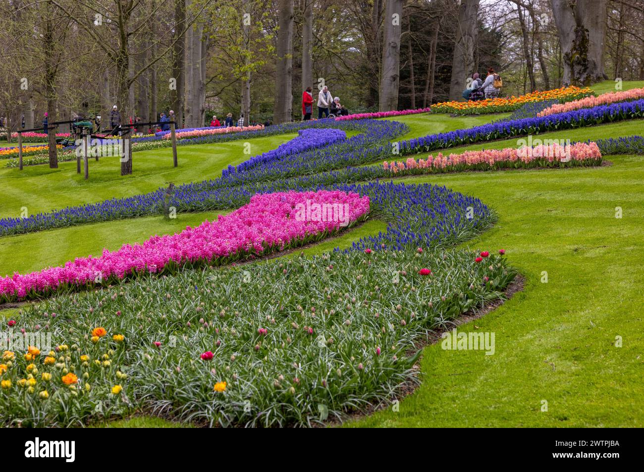 Keukenhof, Lisse Netherlands - April 18, 2023: Colorful flowers in the ...
