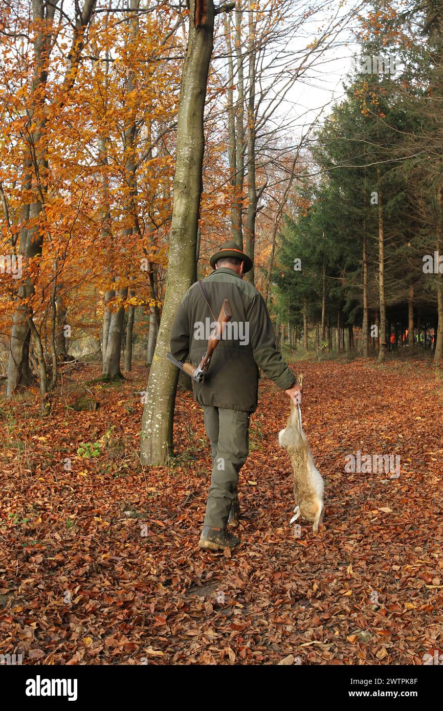 Hunter, in a colourful autumnal forest with a hare (Lepus europaeus) on ...