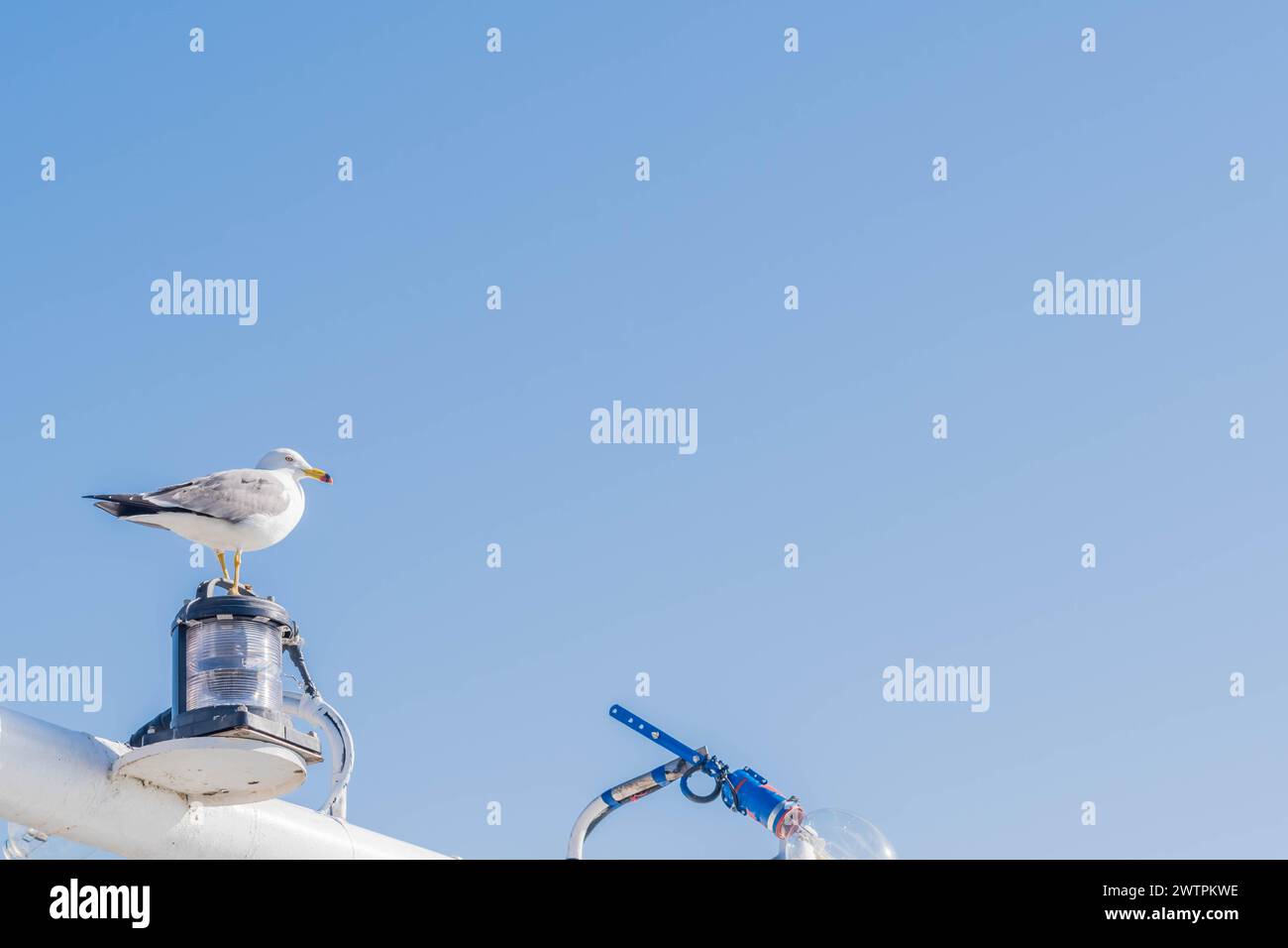 A seagull perched atop a nautical lantern with a clear blue sky in the ...