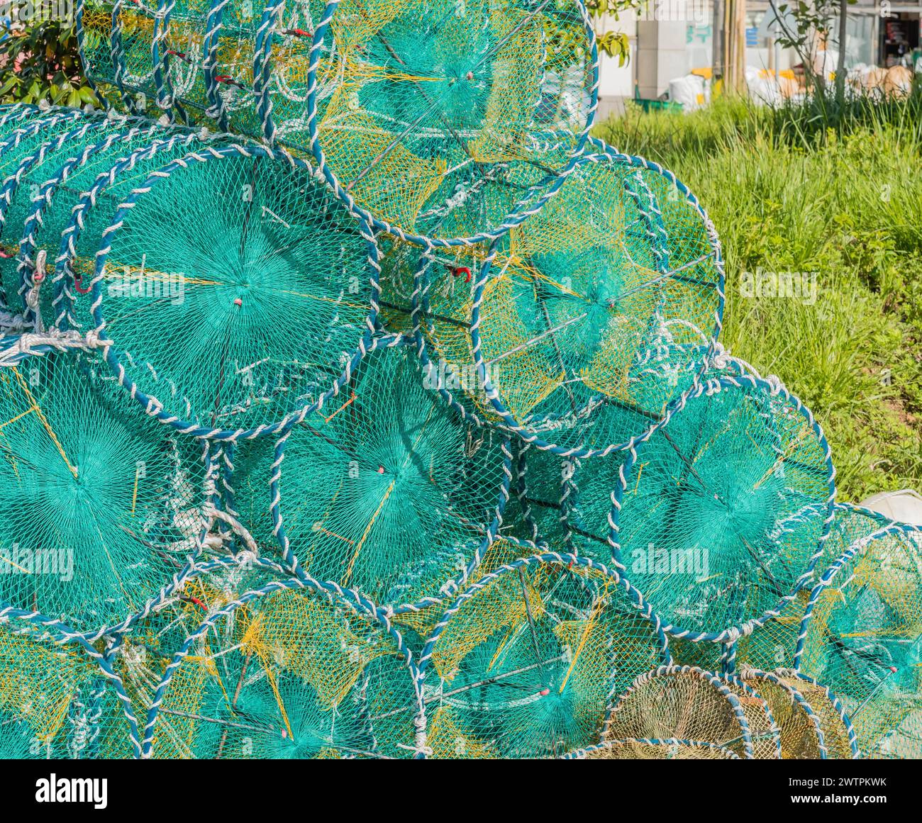 Stacks of green crab traps stored outdoors on a sunny day, in Sinjin-do ...