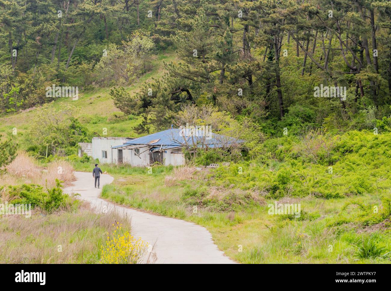A solitary figure walking on a rural path near encroached buildings, in ...