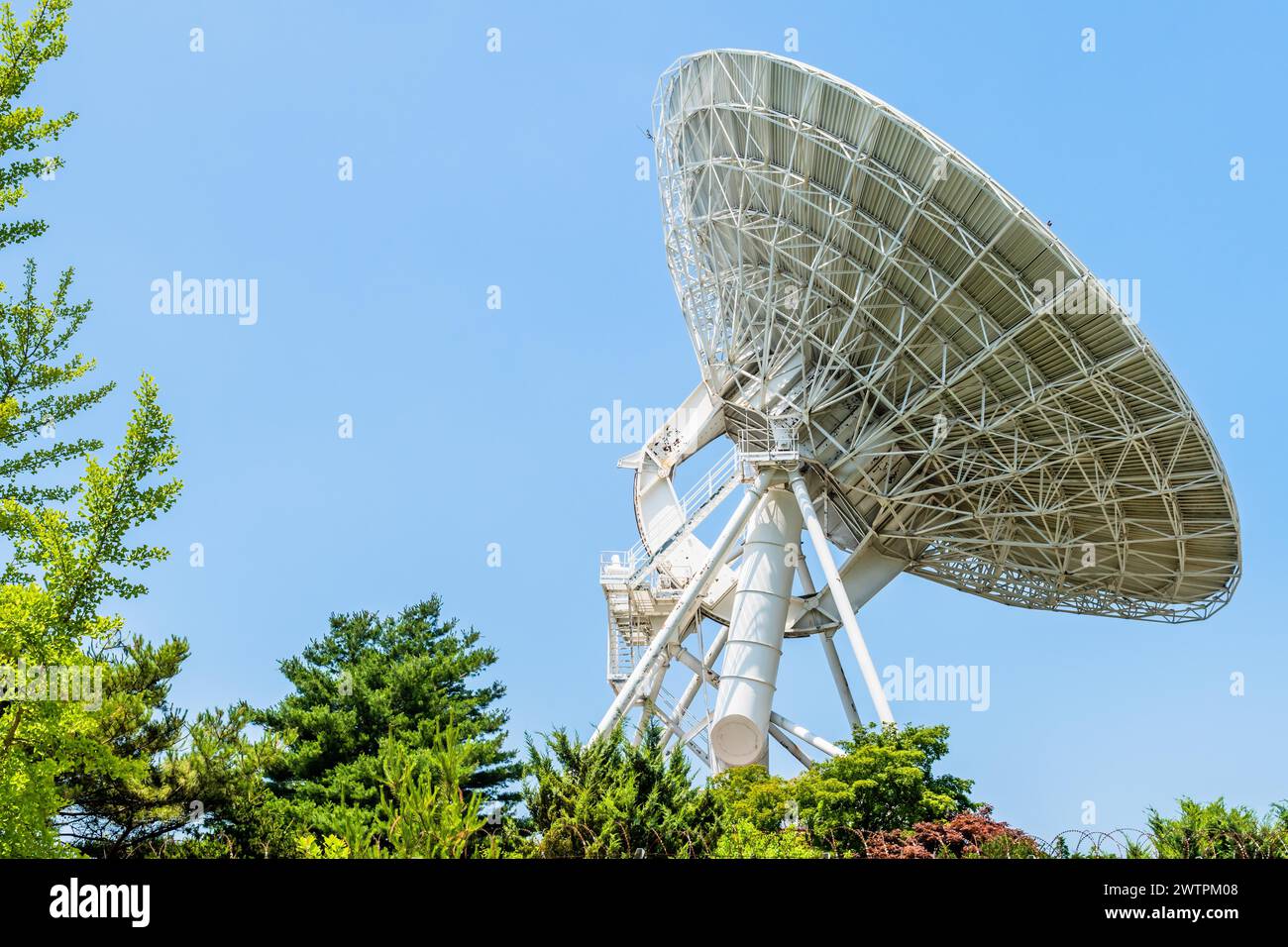 Giant satellite dish reaching up to a clear blue sky, framed by ...